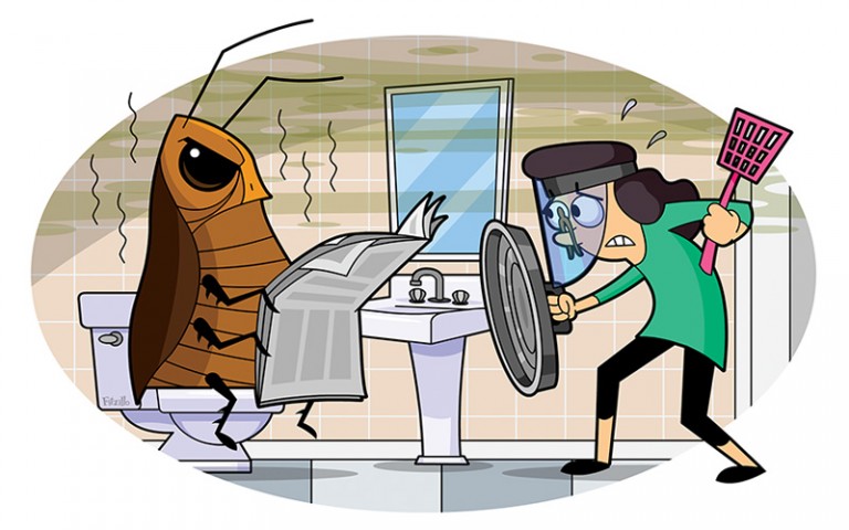 Stinky Stink Bug // March NH Magazine Spot – Brad Fitzpatrick